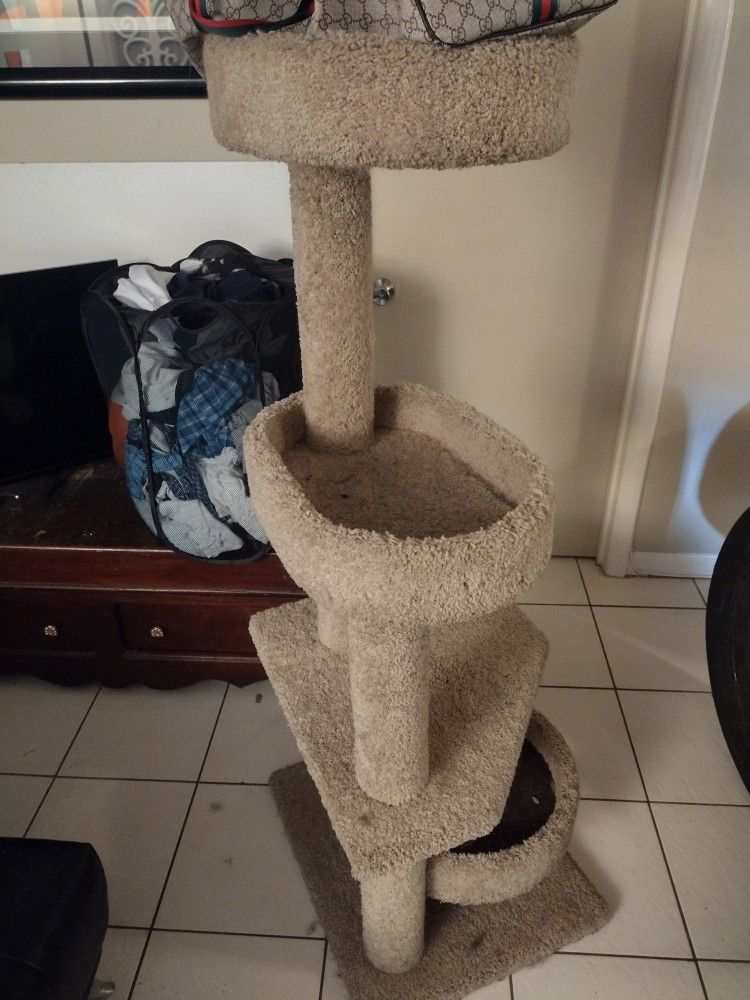 Cat Stand for Sale in Fort Lauderdale, FL - OfferUp