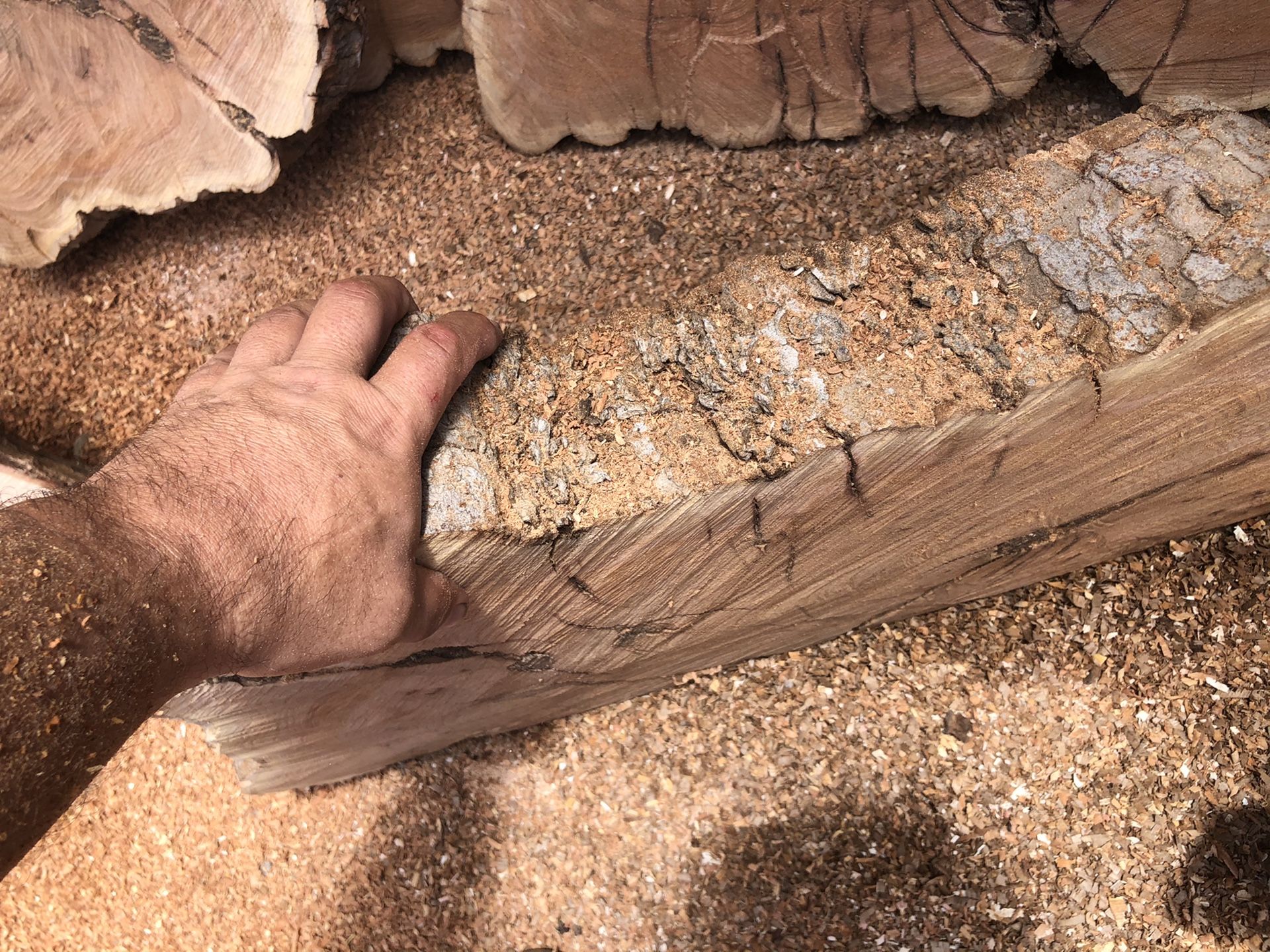 Updated 7/17/20 - Rough cut wood slabs for woodworking, live edge ...