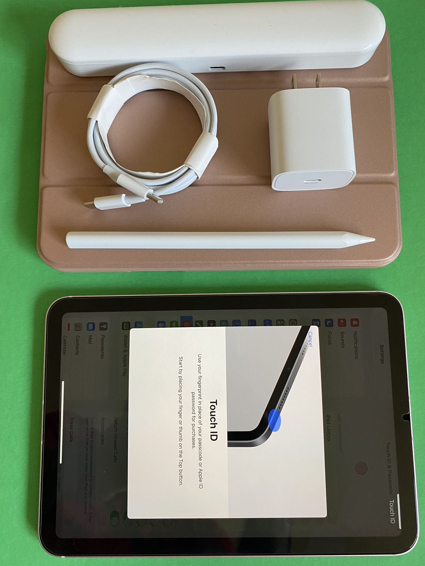 256GB Apple Ipad Mini 6th Generation (Latest Model 2021/ 8.3” Retina ...