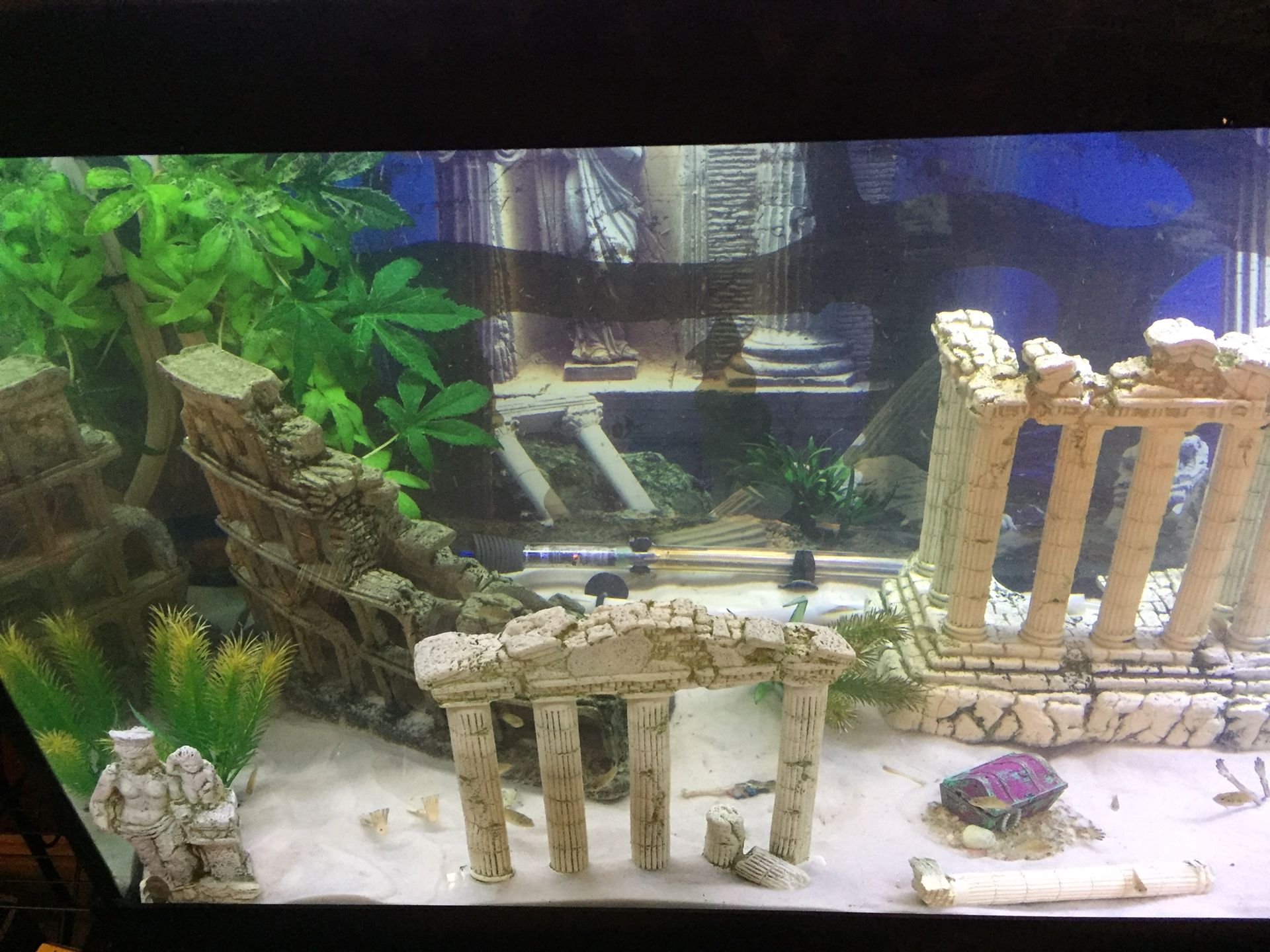 Atlantis Themed Fish Tank