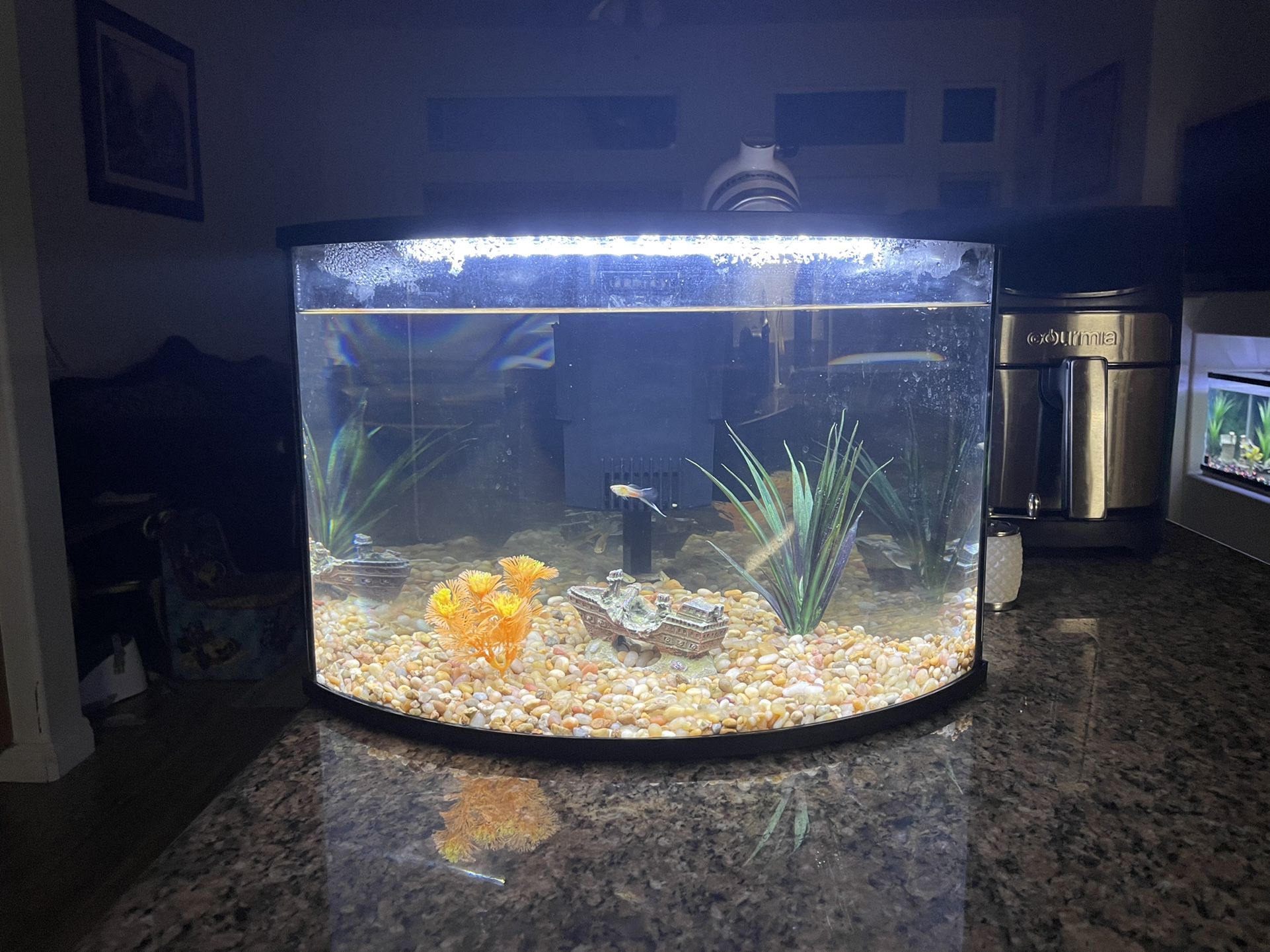 6 Gallon Corner Fish Tank Aquarium Complete Setup for Sale in Irvine ...