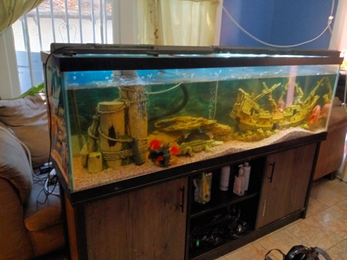 Fish Tank, All System, 2 Fishes,, #1 Fish(Red Devil Fish) #2 (Not Sure ...
