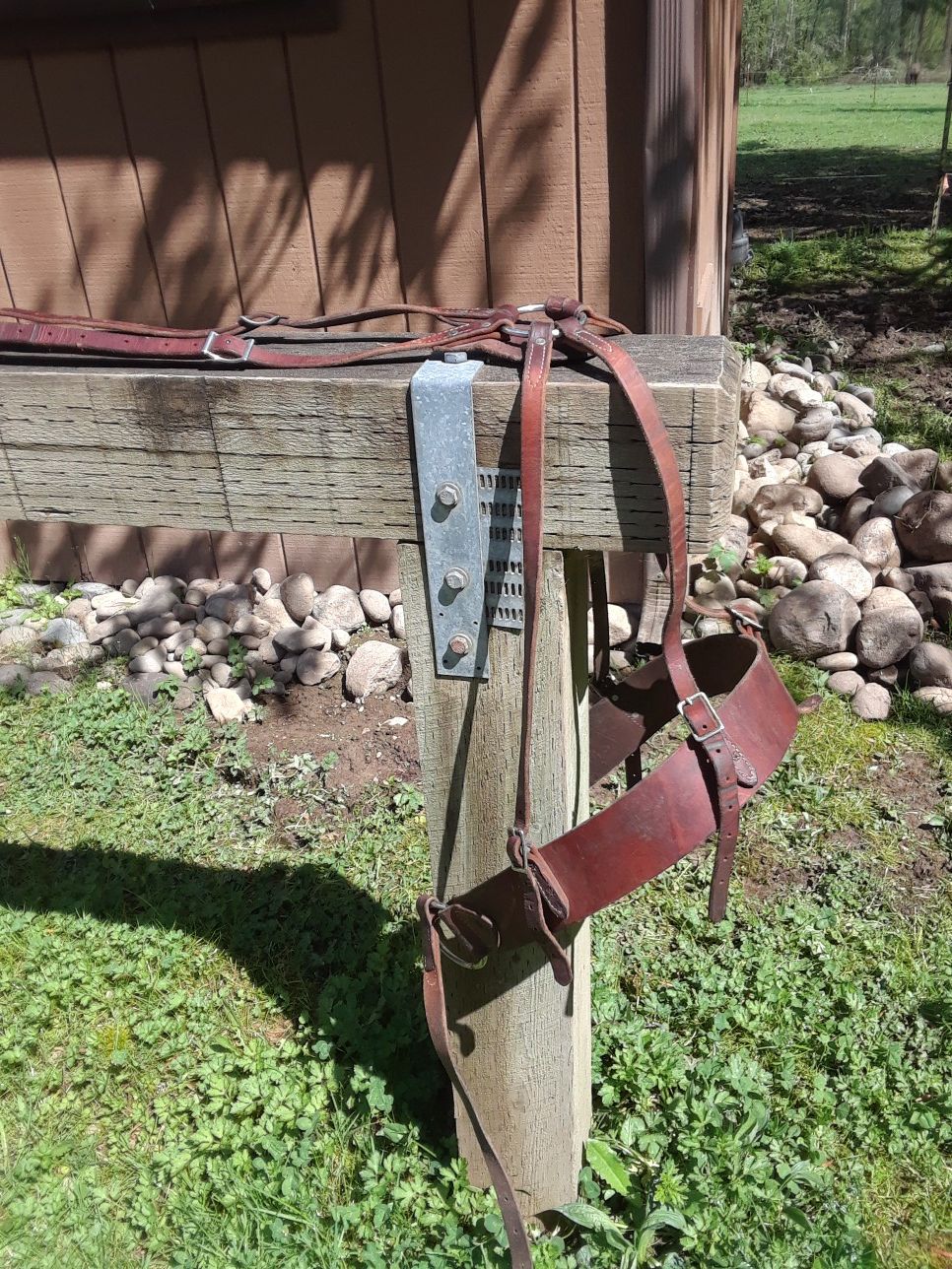 Mule breeching for Sale in Graham, WA - OfferUp