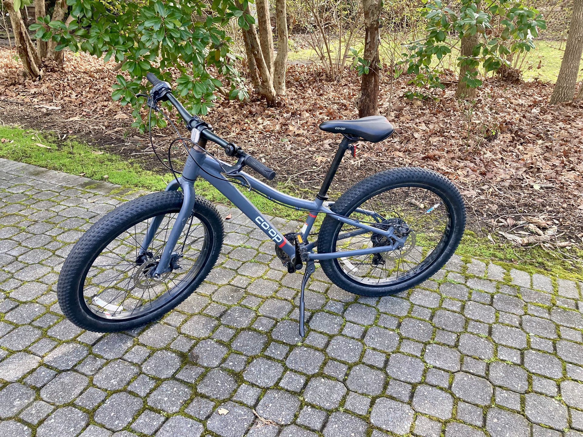 Co-op Cycles REV 24 Kids' Mountain Bike for Sale in Midlothian, VA ...