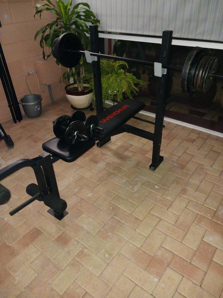 Bench Press, Bar,dumbbells And 175 Pounds Of Weights. for Sale in ...