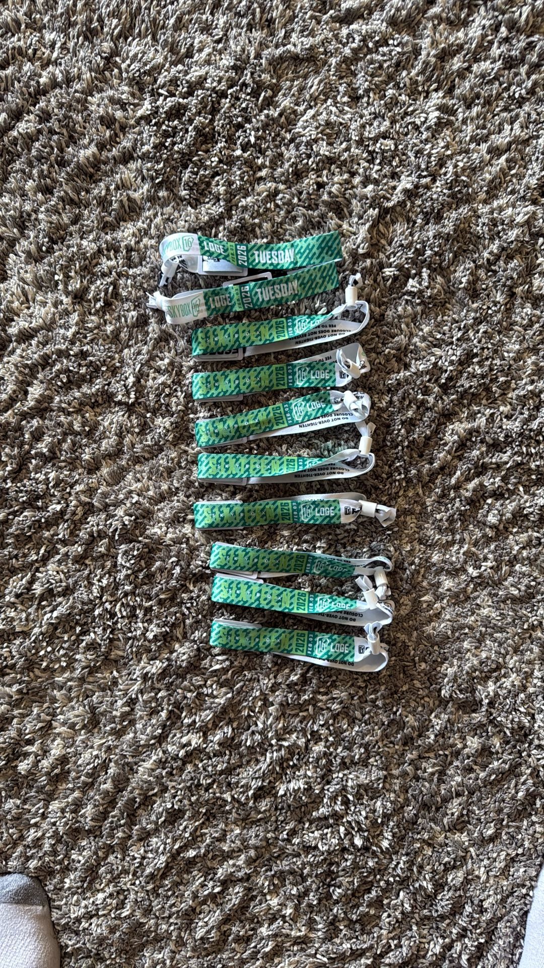 Tuesday - Skybox 16 LOGE tickets for Waste Management WM Phoenix Open ...