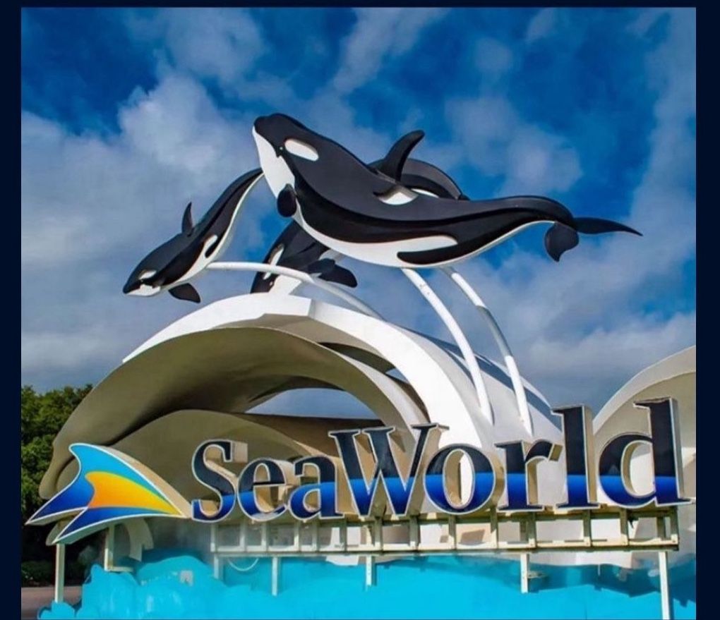 SeaWorld E-Tickets $15 for Sale in Murrieta, CA - OfferUp