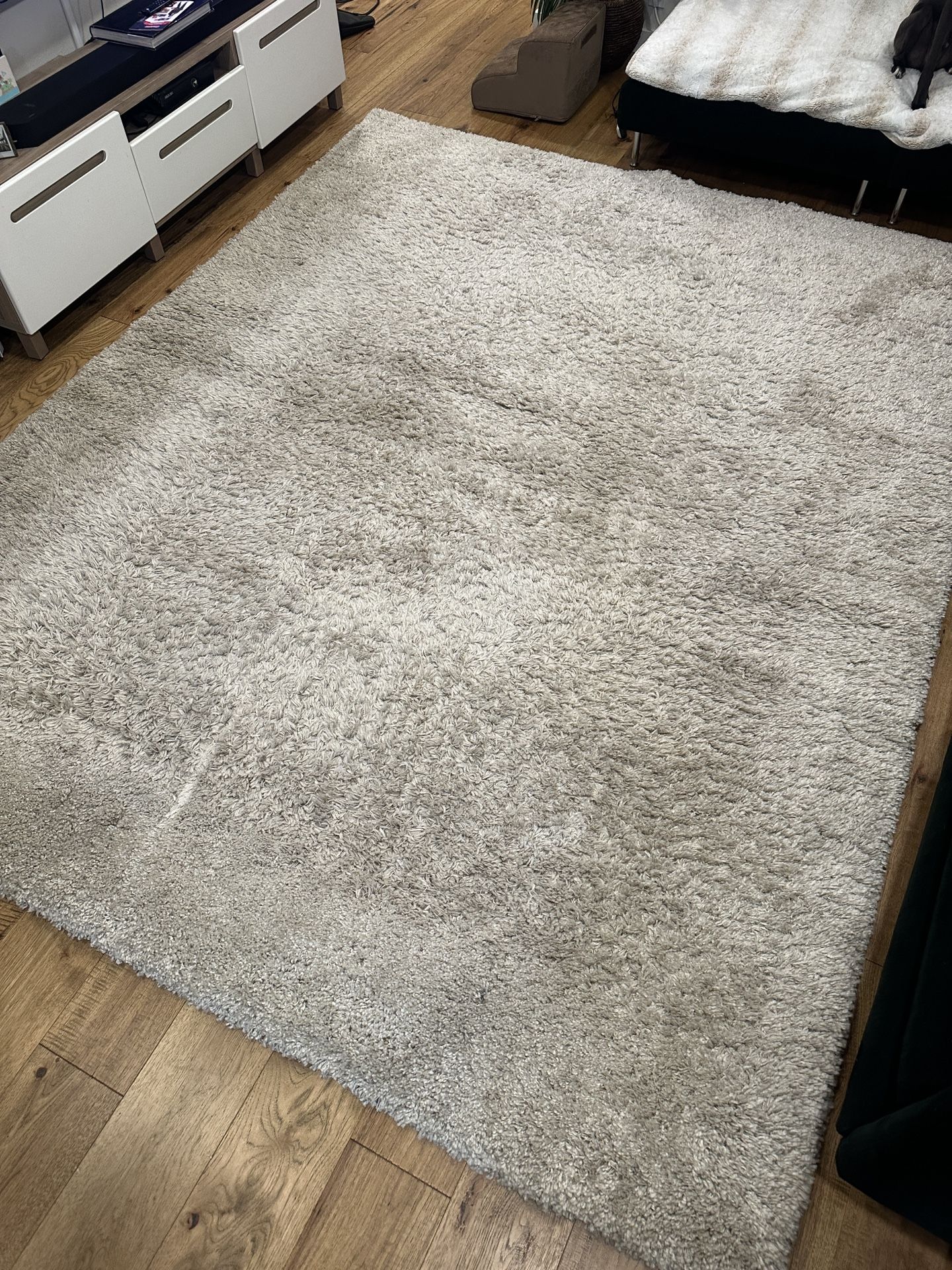 8x10 Shag Rug Off-white Creamish Color for Sale in Seattle, WA - OfferUp