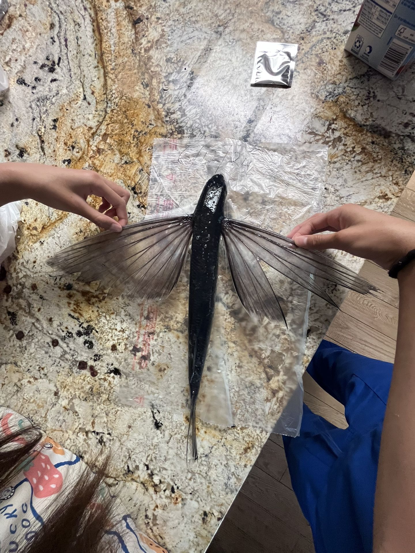 Fresh Flying Fish Tuna Candy Lures Bait for Sale in San Diego, CA - OfferUp