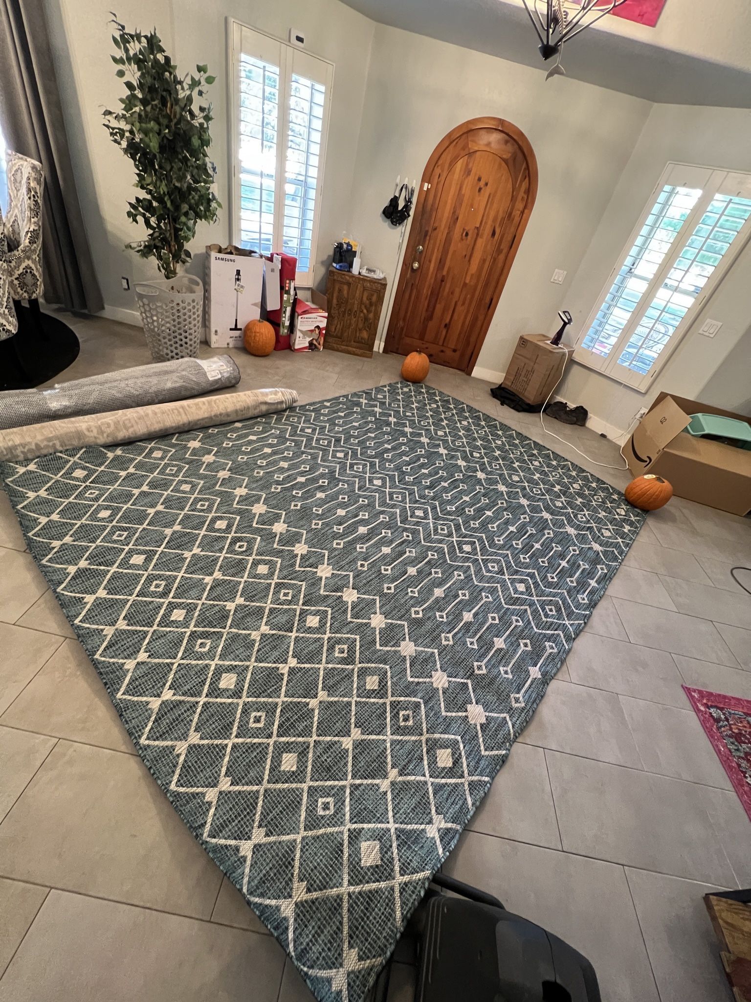 Almost New, Large Area Rug - Perfect for Home Staging, $100 - Delivery ...