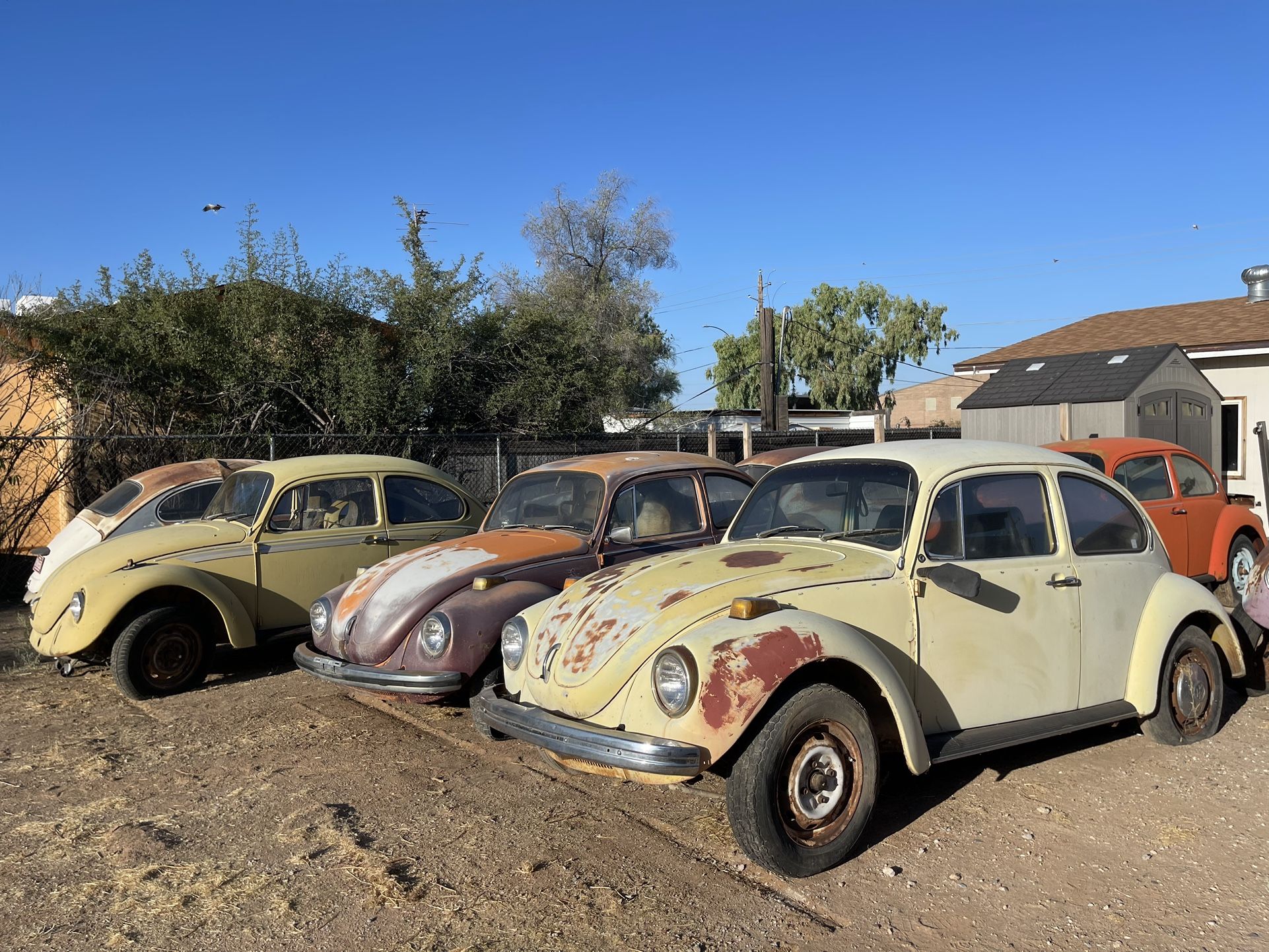 Volkswagen Bugs For Sale for Sale in Phoenix, AZ - OfferUp
