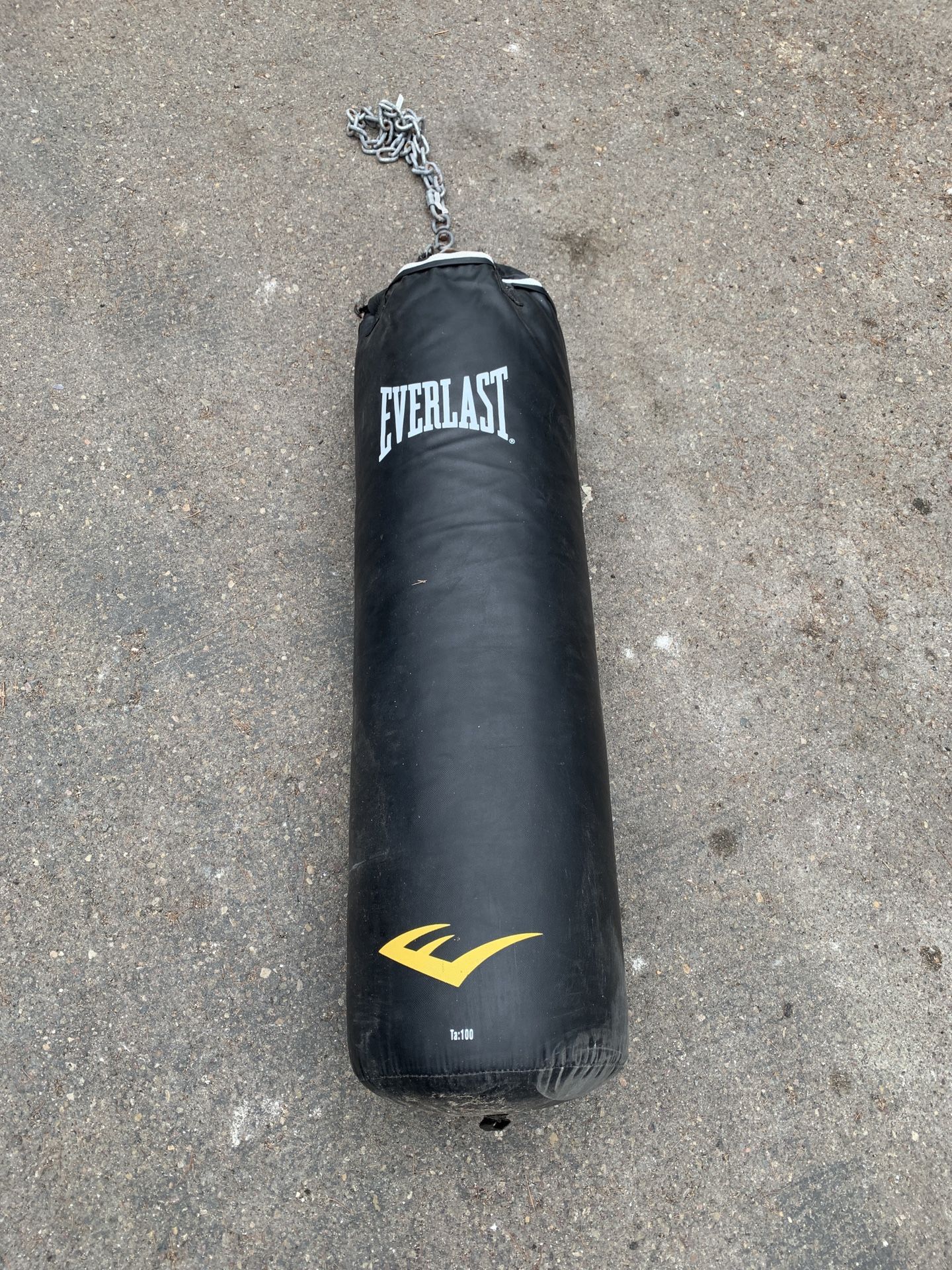 Everlast Punching Bag