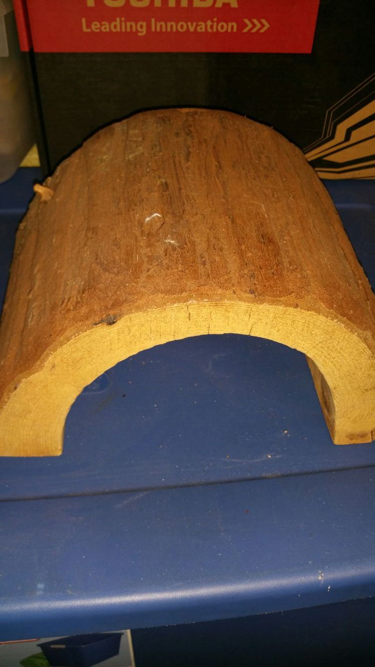 Large wood hollowed-out log for reptile aquarium cage for Sale in Yorba ...