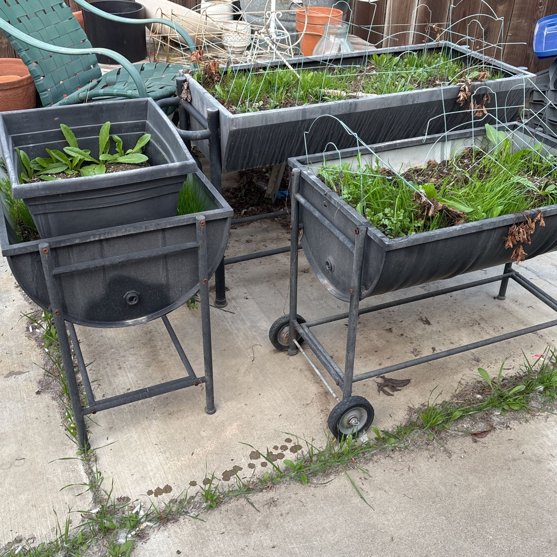 Planter Barrels Tractor Supply for Sale in Modesto, CA - OfferUp