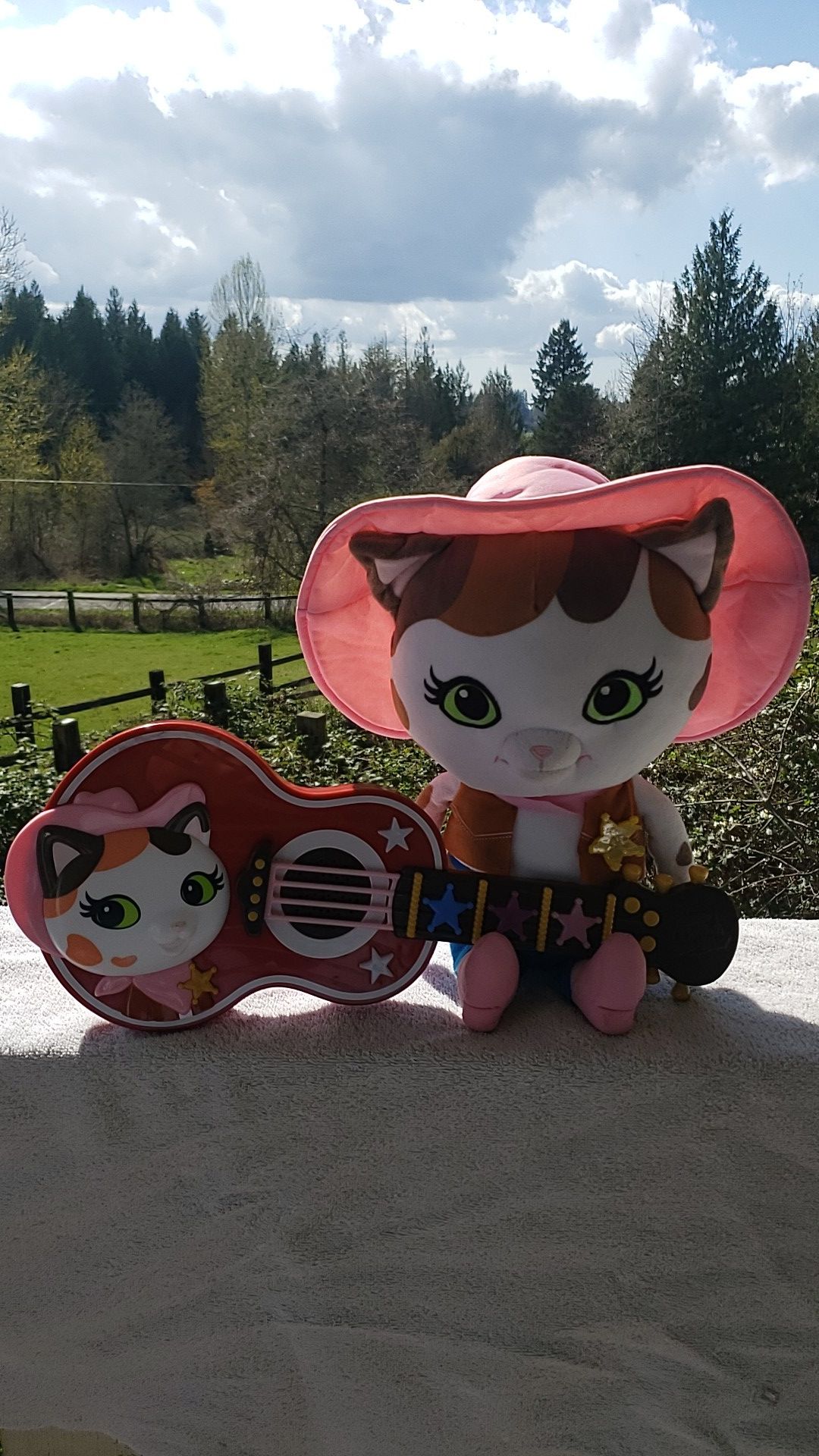Sheriff Callie & Guitar for Sale in Enumclaw, WA - OfferUp