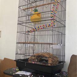 Flying Squirrel Cage