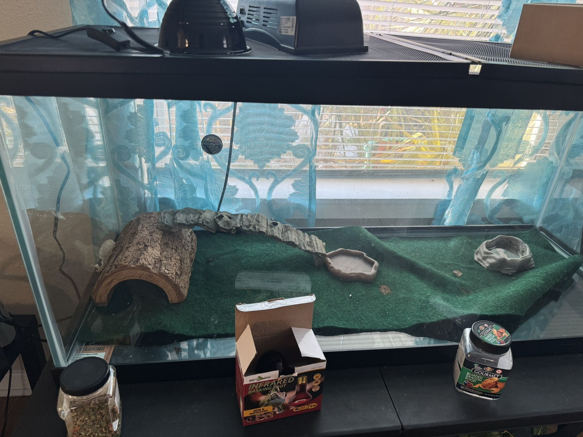 FREE Reptile /Fish tank for Sale in St. Petersburg, FL - OfferUp