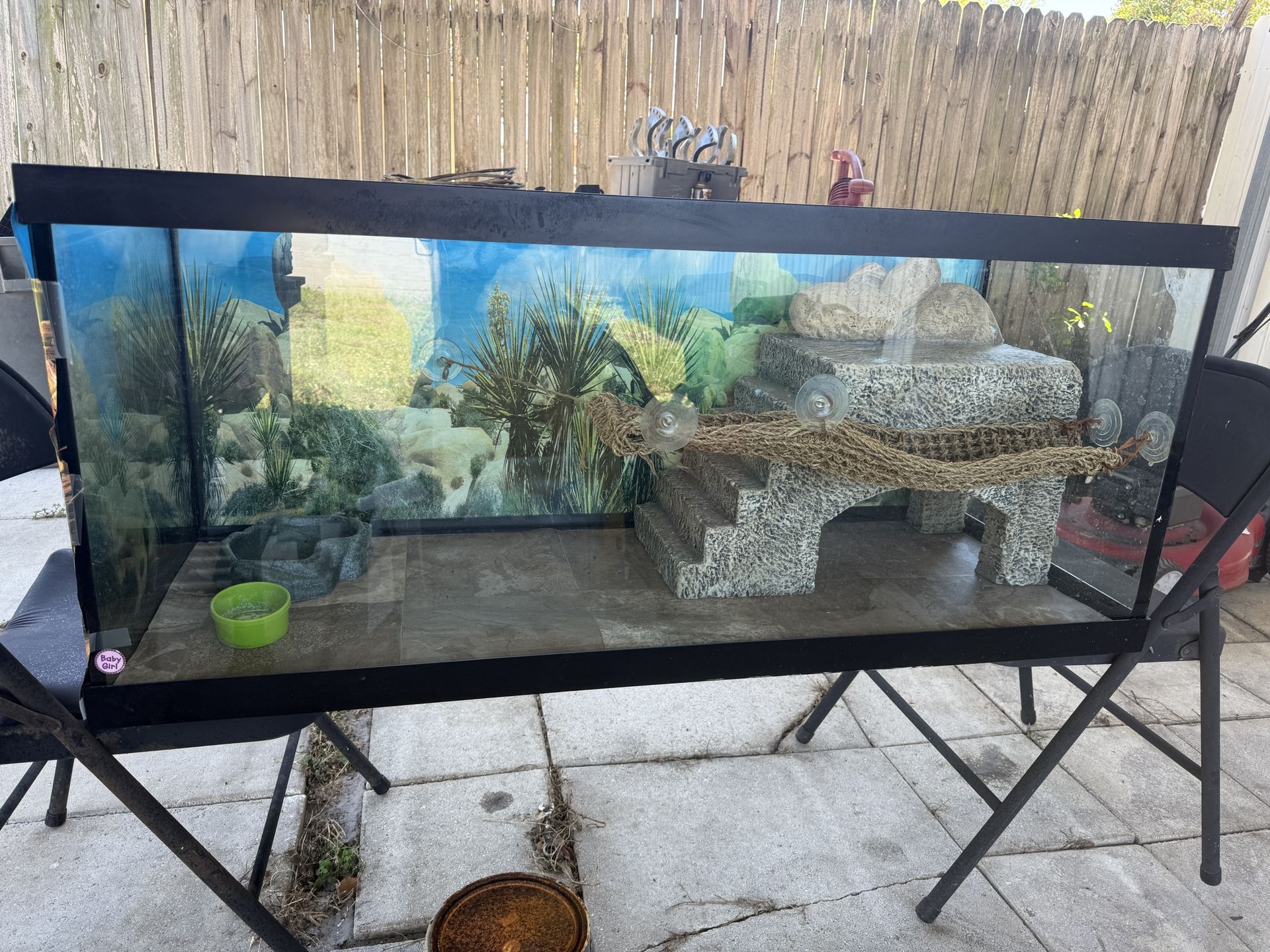 Reptile Tank 4ft x 1.5ft Everything Included And one deep dome light ...