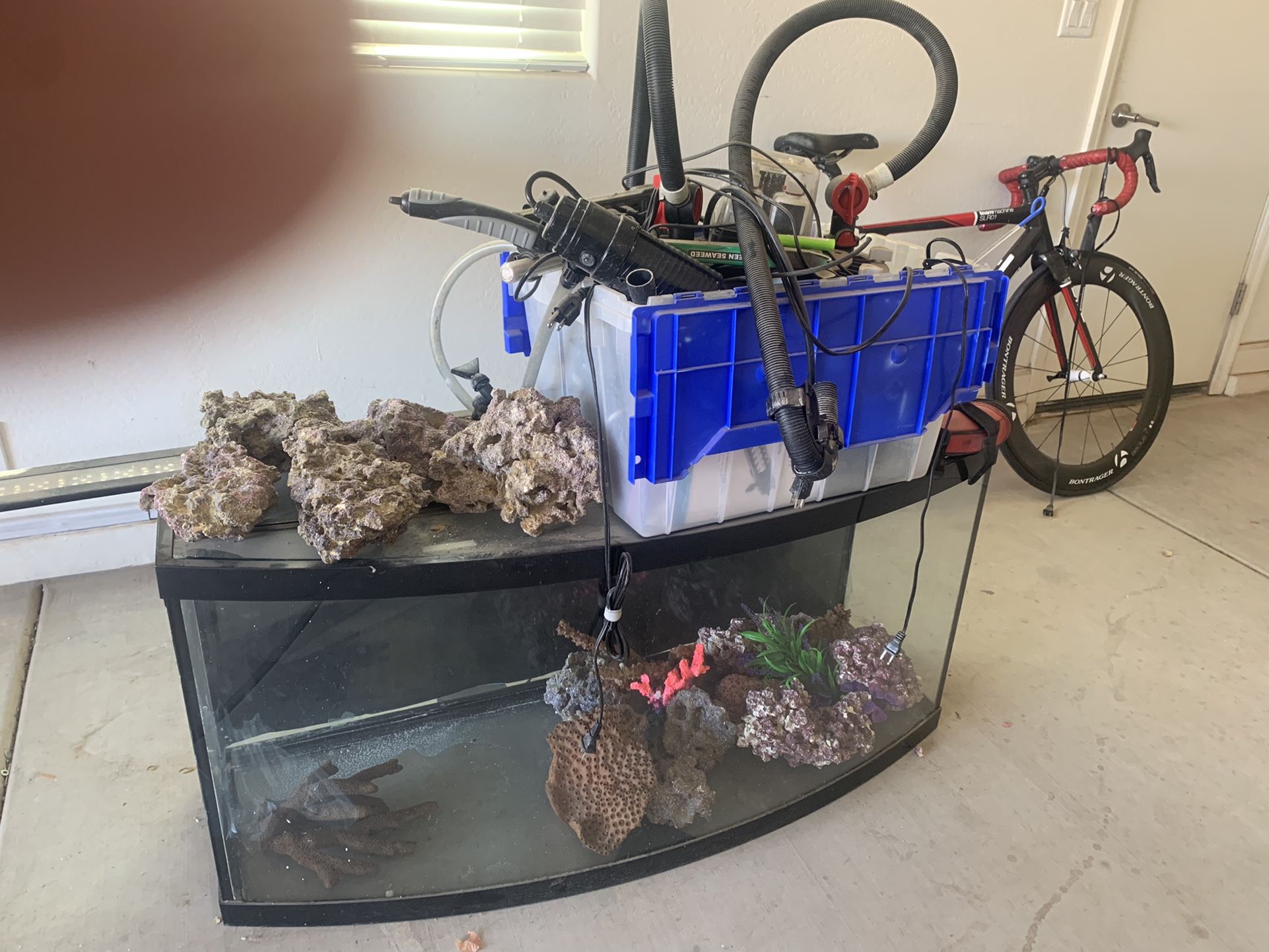 Fish Tank 75 Gallon for Sale in Queen Creek, AZ - OfferUp
