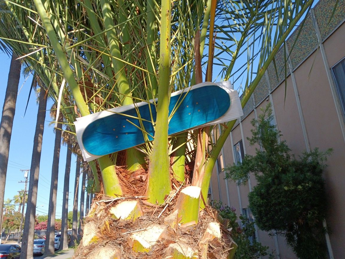 Skate Board Blank for Sale in Pomona, CA - OfferUp