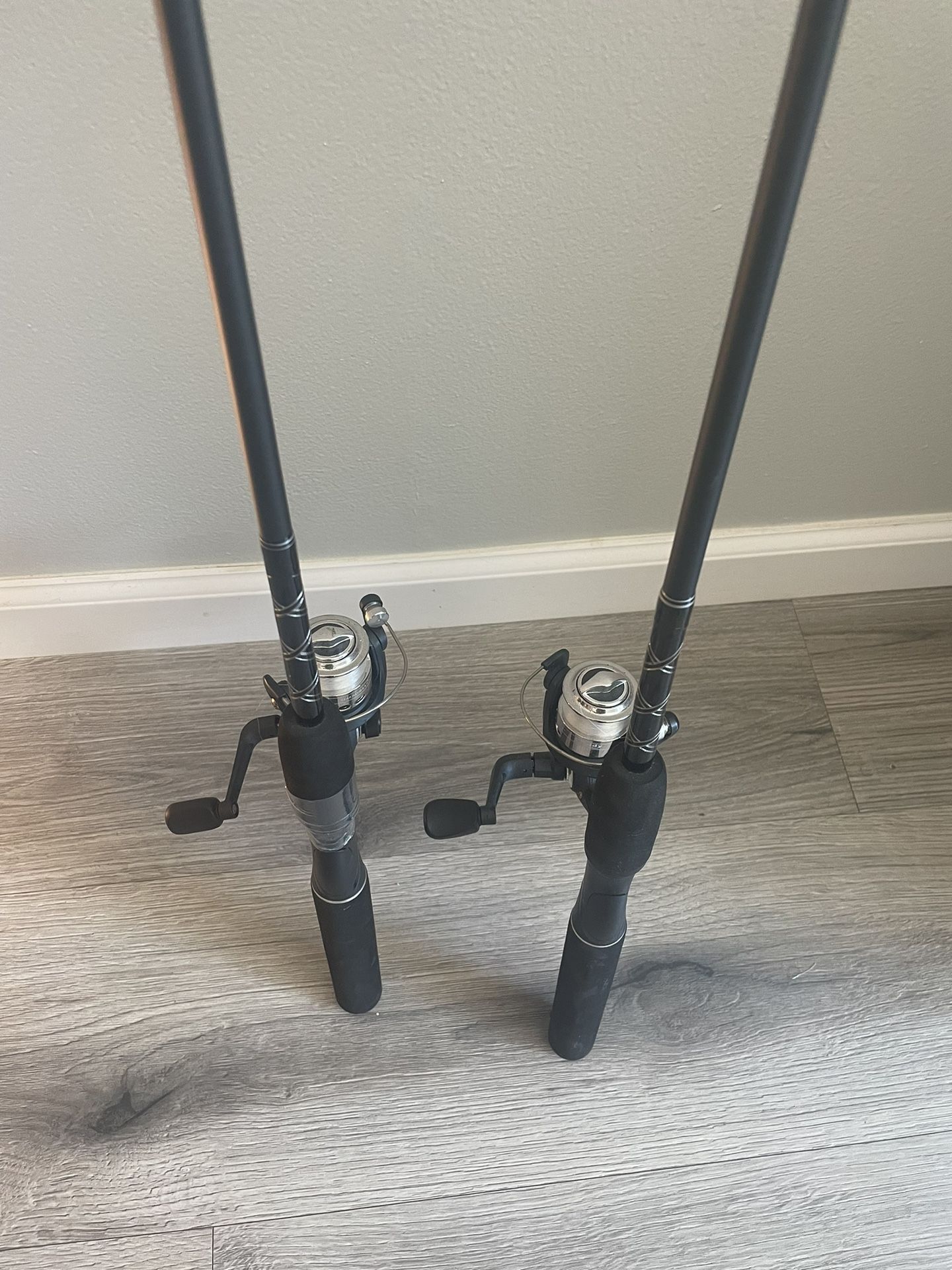 Roddy Fishing Rods With Reel for Sale in Irvine, CA - OfferUp