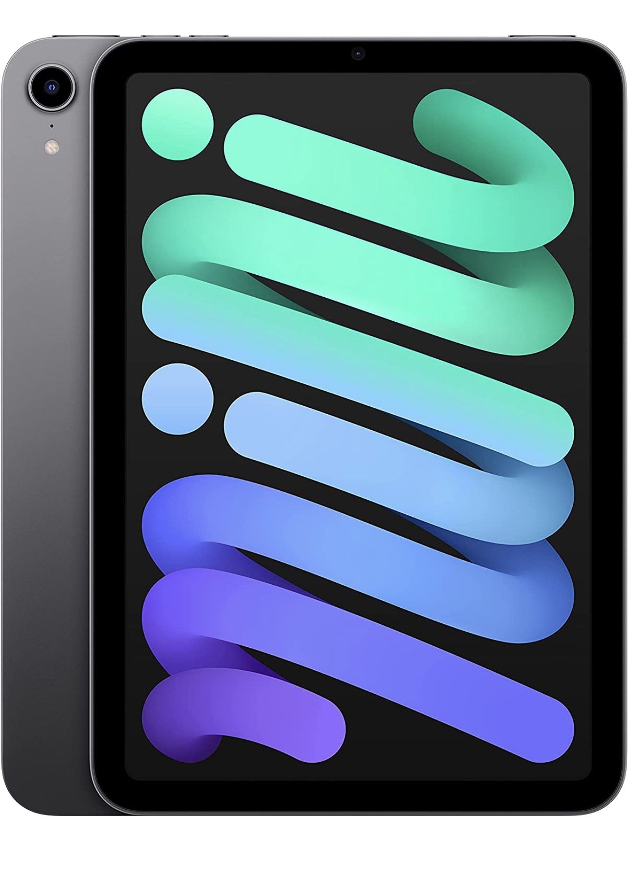 BRAND NEW 6th Generation Apple iPad Mini (Wi-Fi, 64GB) - Space Gray for ...