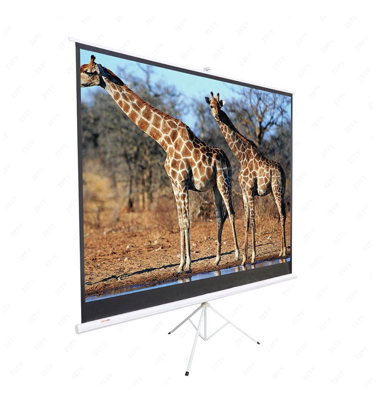 Aurora 100 Inch HD 16:9 Portable Projector Screen Diagonal Projection ...