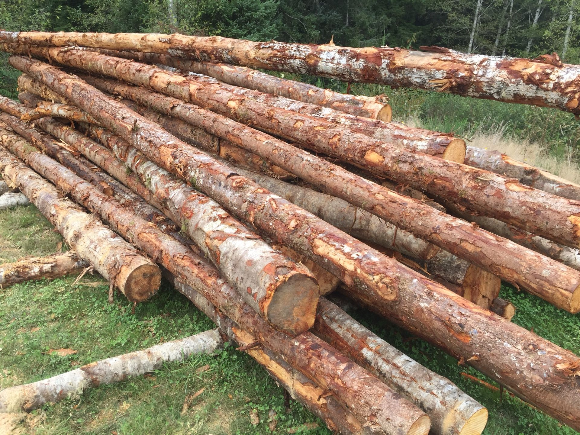 Hemlock & alder fire wood, logs for sale for Sale in Astoria, OR - OfferUp