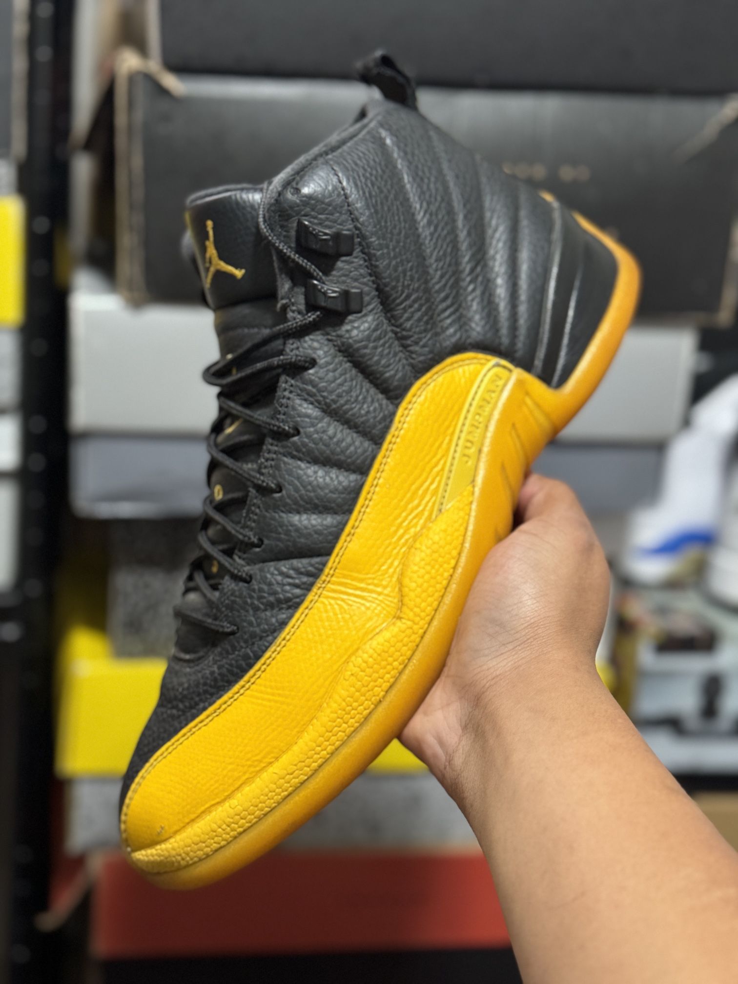 Jordan 12 for Sale in Concord, CA - OfferUp
