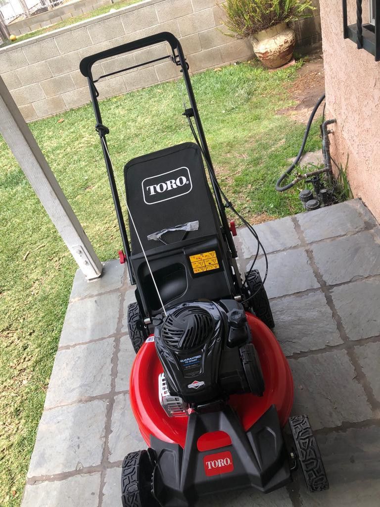 22 in. Recycler Briggs & Stratton High Wheel FWD Gas Walk Behind Self ...