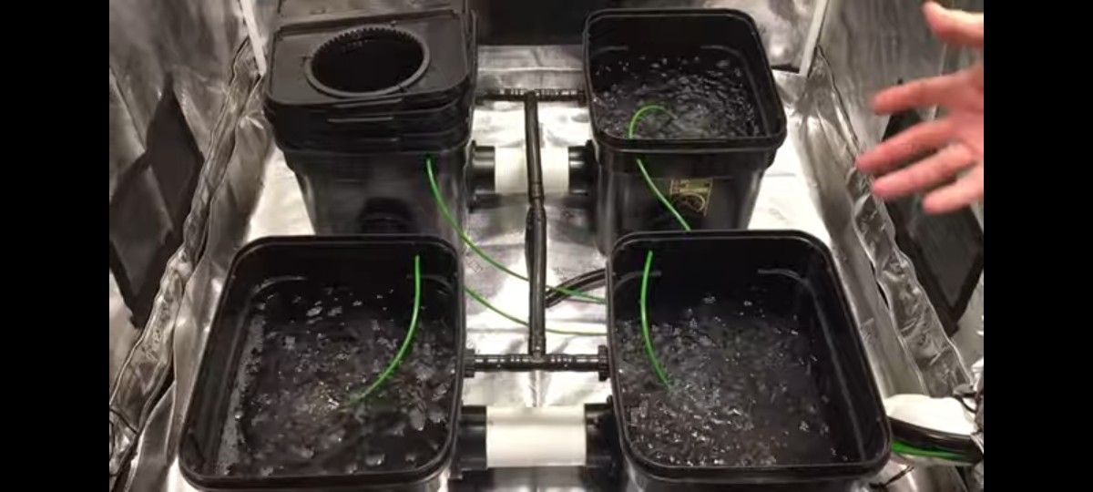 PA Hydroponics 4 Plant Fallponic Waterfall RDWC Setup with Reservoir ...
