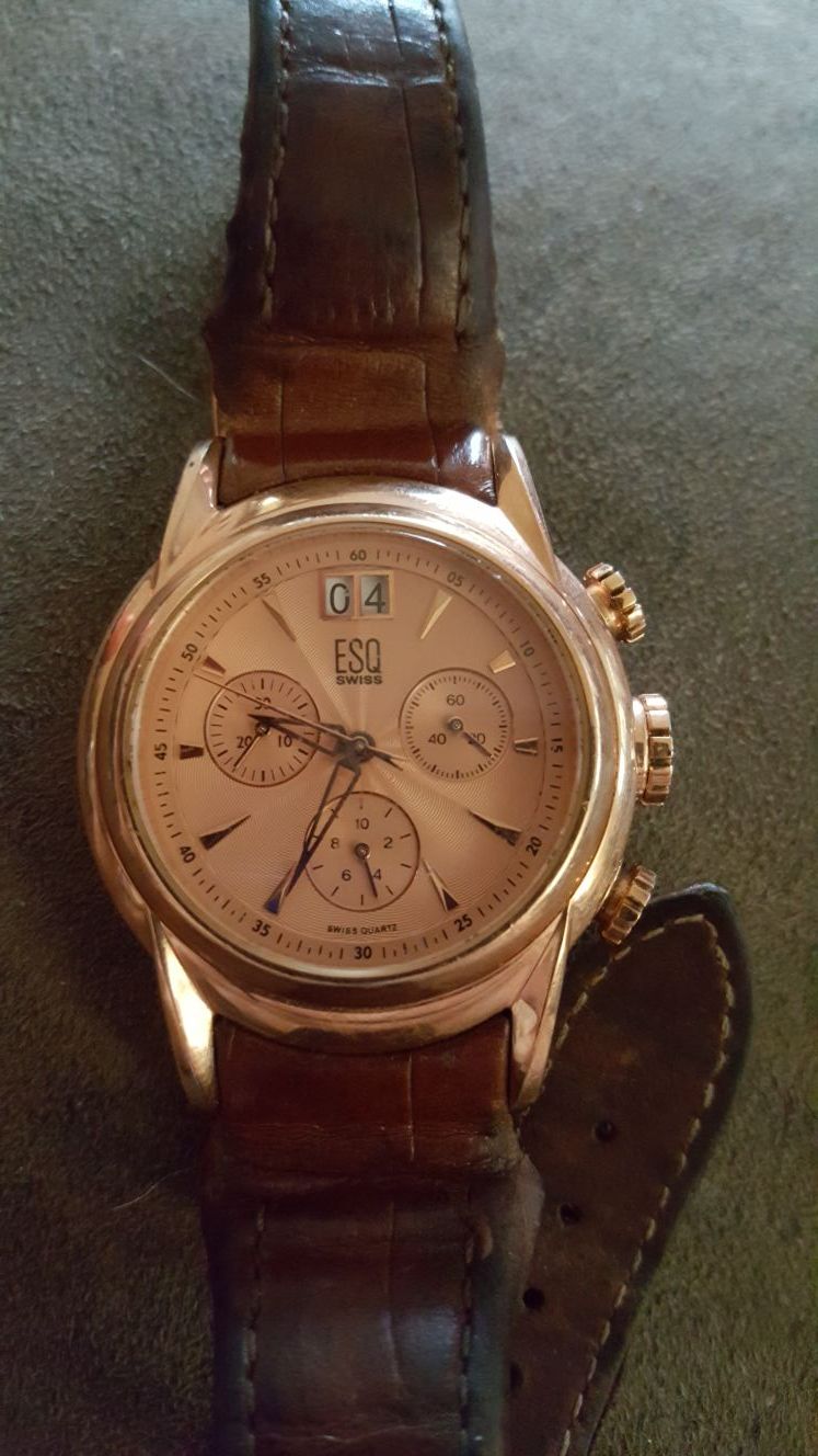 Esq Swiss Watches For Men