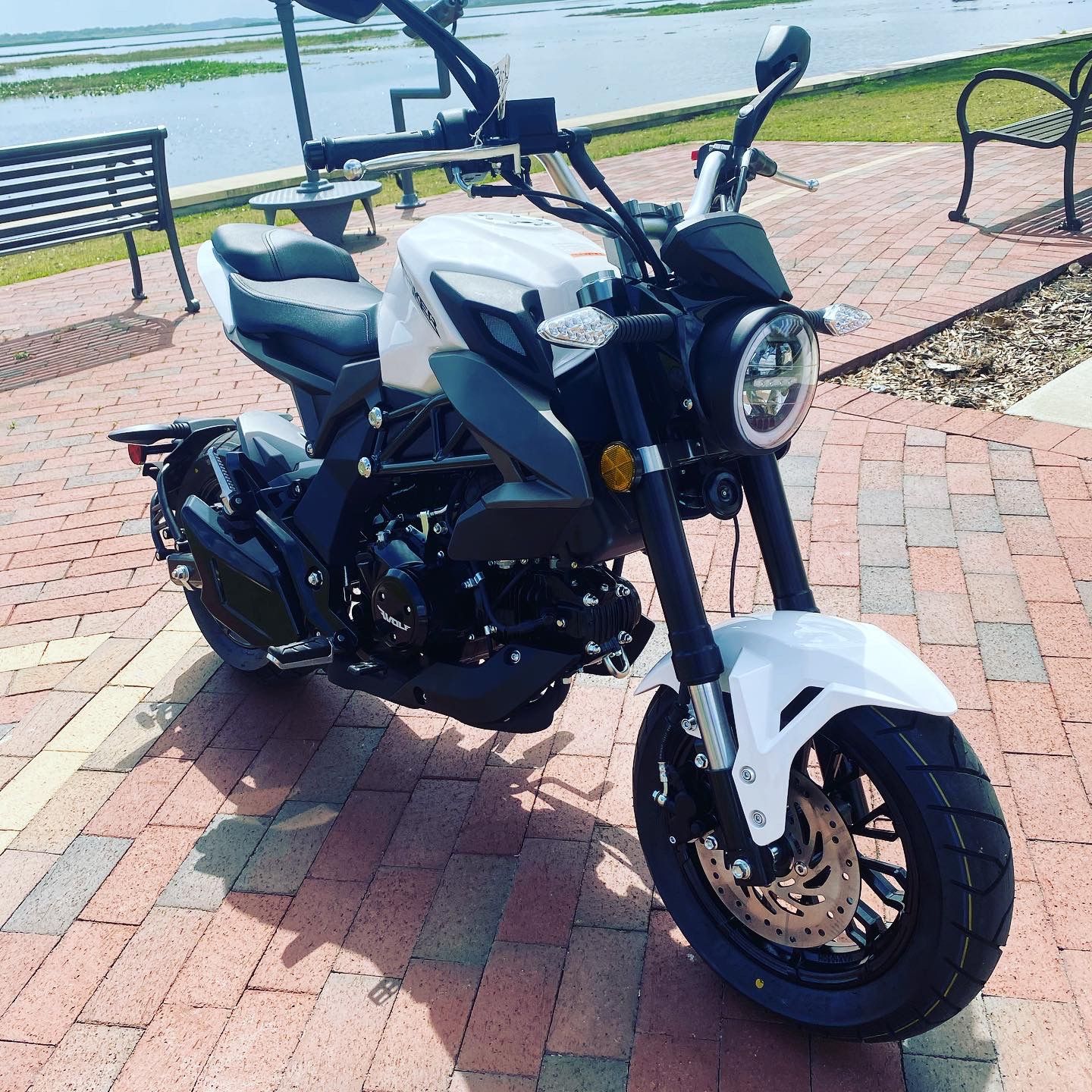 Wolf Brand Scooters 125cc Mini Bike | atelier-yuwa.ciao.jp