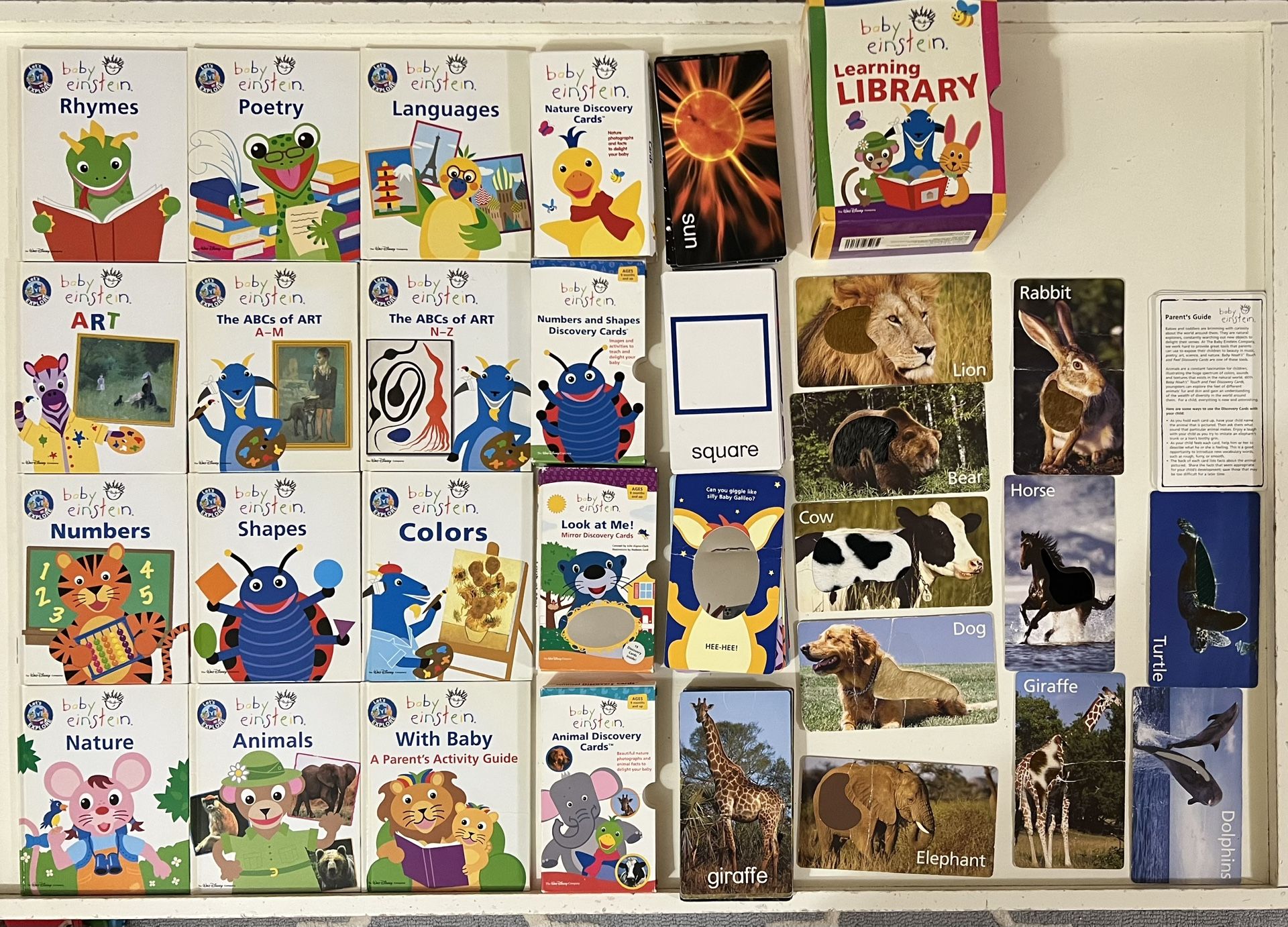 Baby Einstein Language Discovery Cards