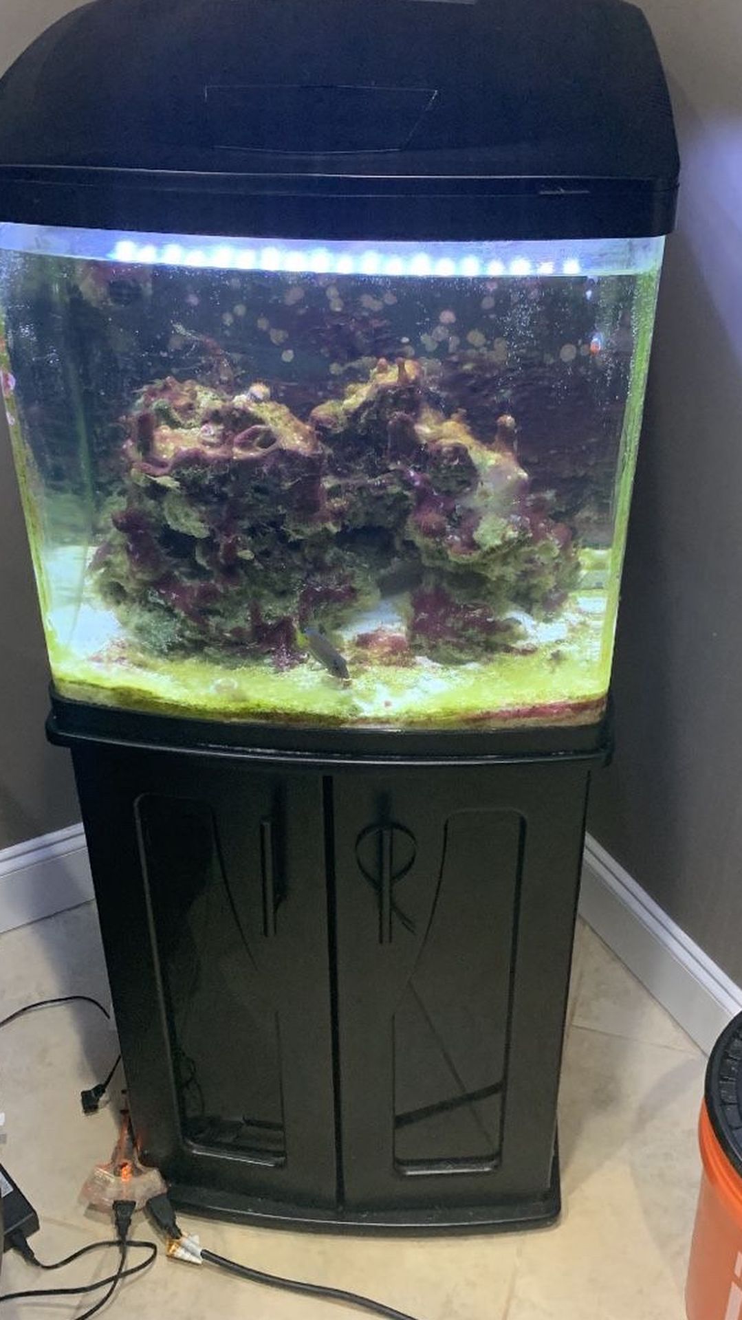 Biocube LED 32 aquarium tank and stand for Sale in Pompano Beach, FL ...