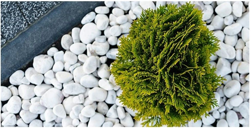 1-2" Himalaya White Pebble. Decorative Gravel River Rock Landscaping ...