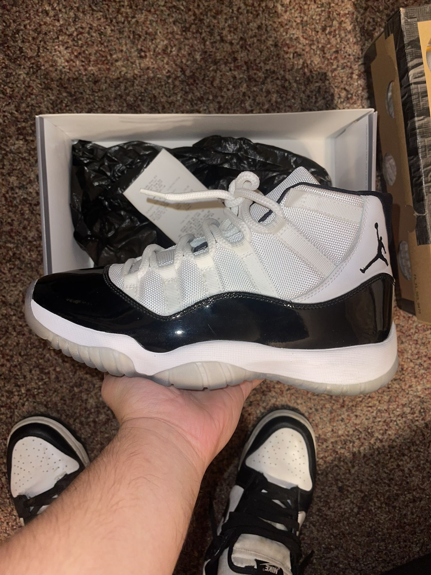 Jordan 11 Concord for Sale in Fresno, CA - OfferUp
