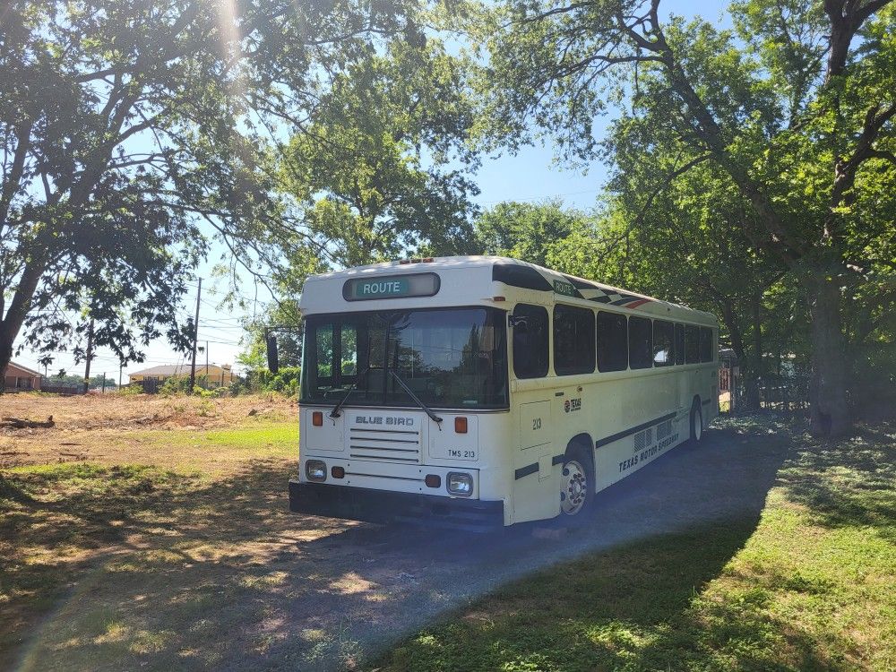 1998 Bluebird Bus for Sale in Mesquite, TX - OfferUp