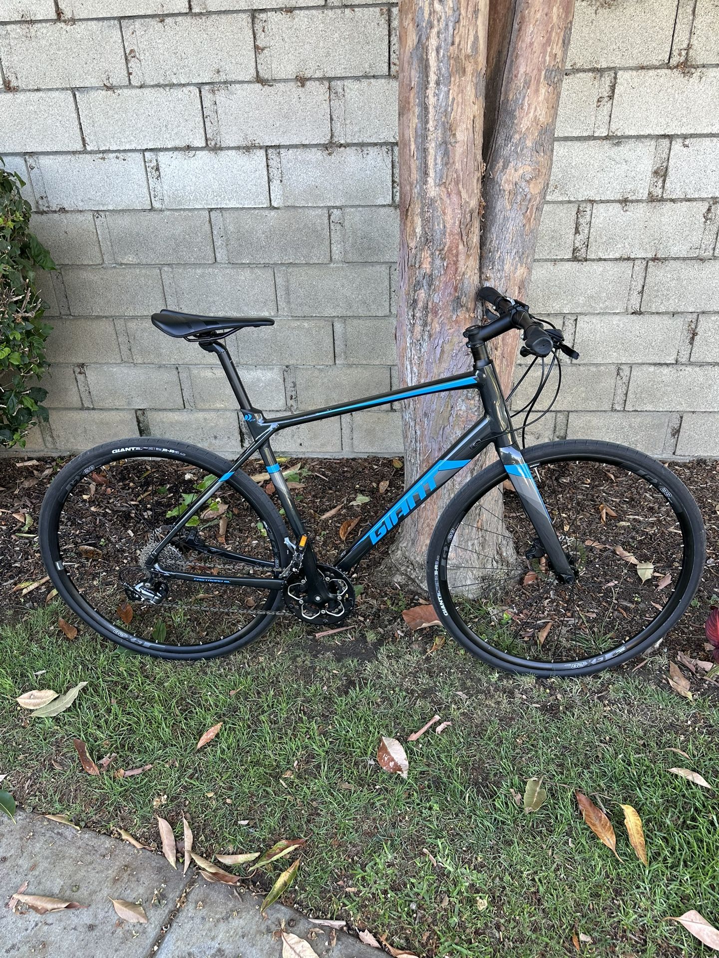 Giant Fastroad SL3 Size Large, Paint Color Beautiful Gunmetal Gray with ...