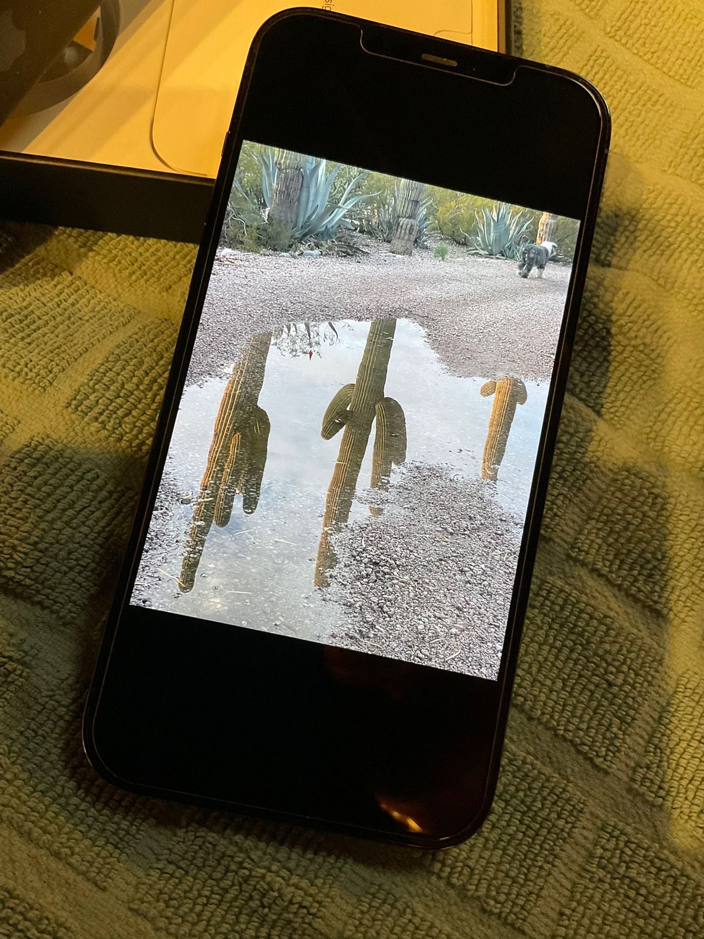 IPhone 12 Pro Max 512 GB Pacific Blue—unlocked-$685 for Sale in Tucson ...