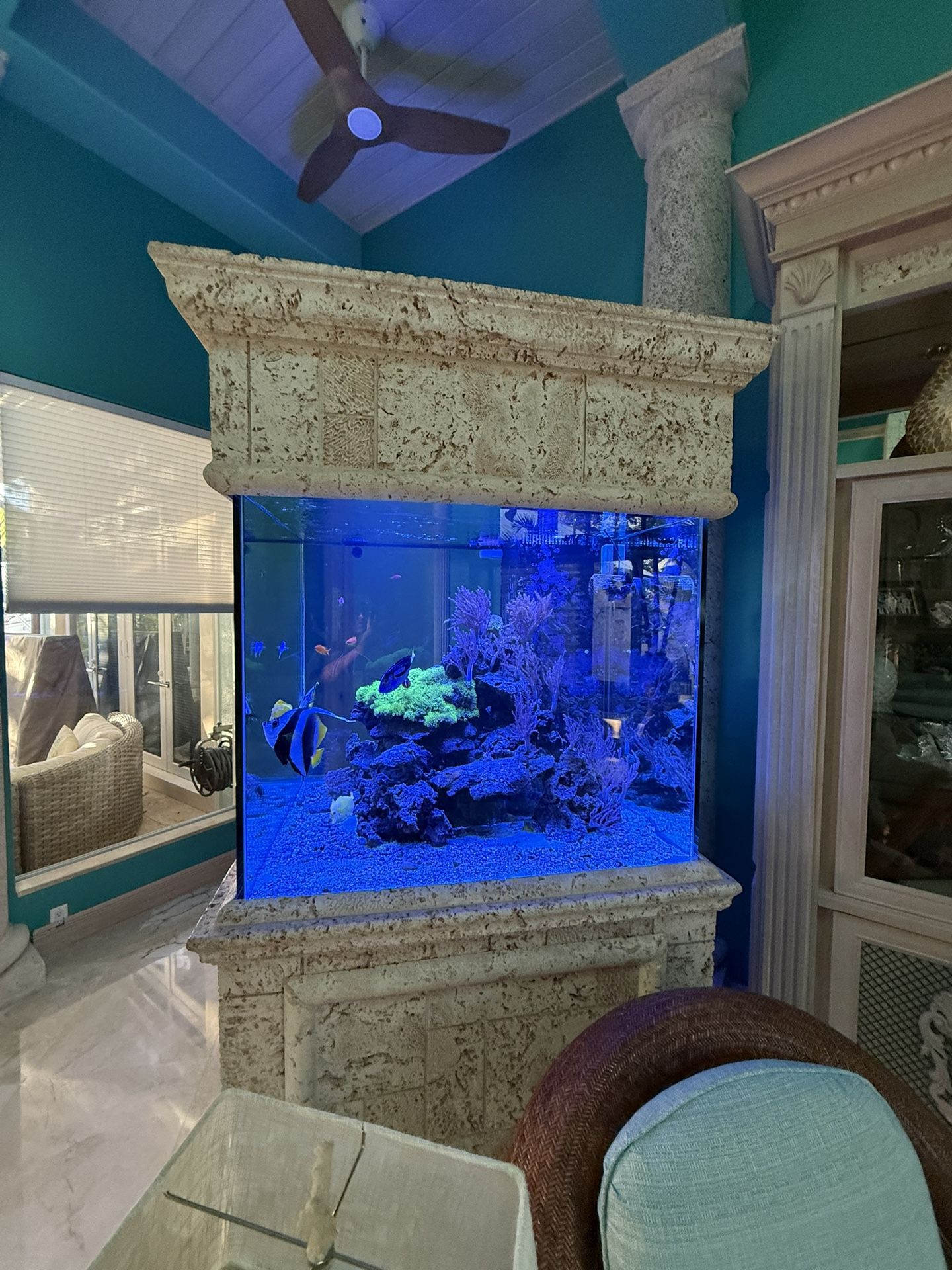 400g Salt Water Reef Tank for Sale in Palm Beach Gardens, FL - OfferUp