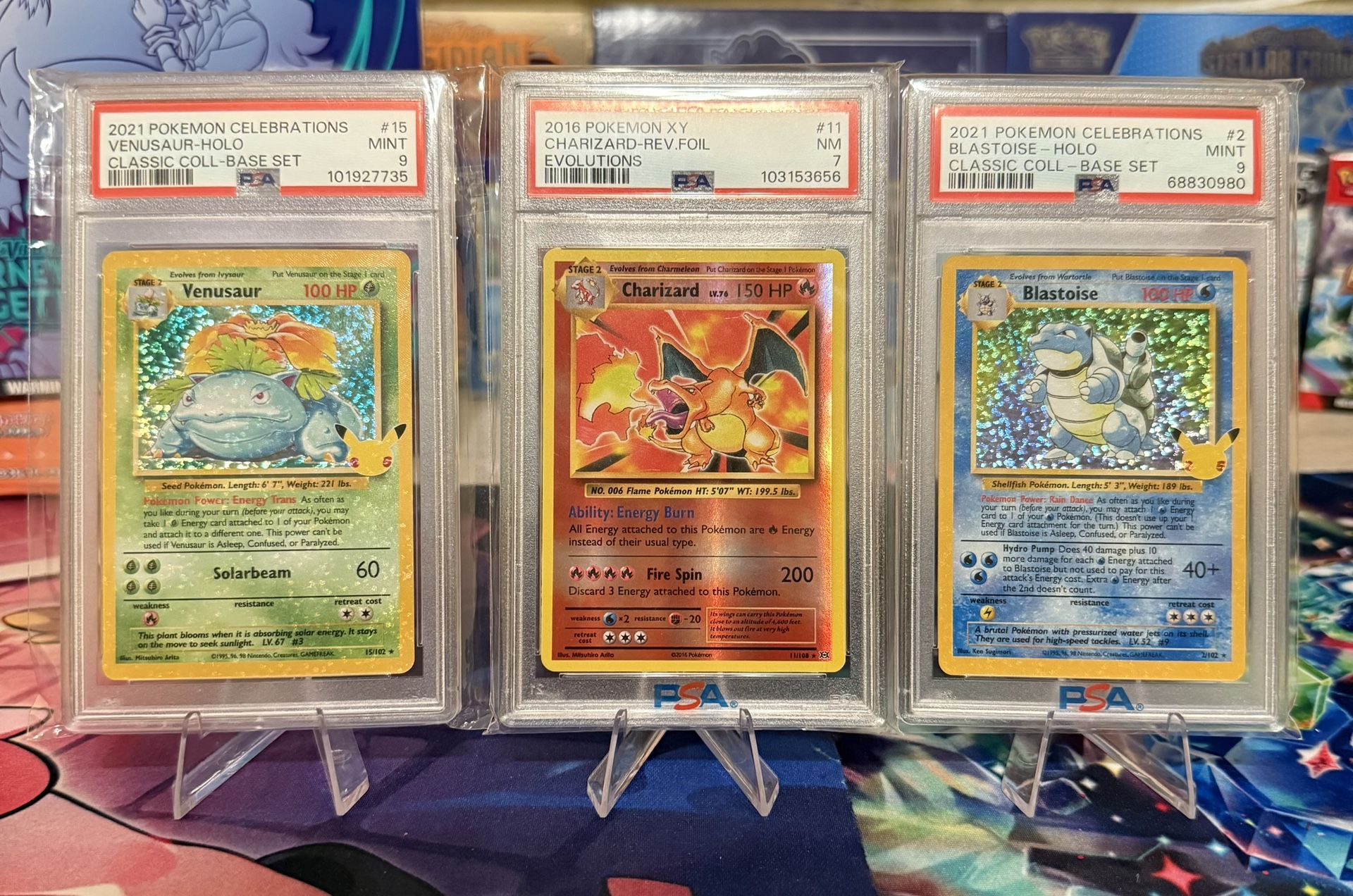 Charizard Venusaur Blastoise “Big Three” Pokemon Cards PSA Slabs for ...