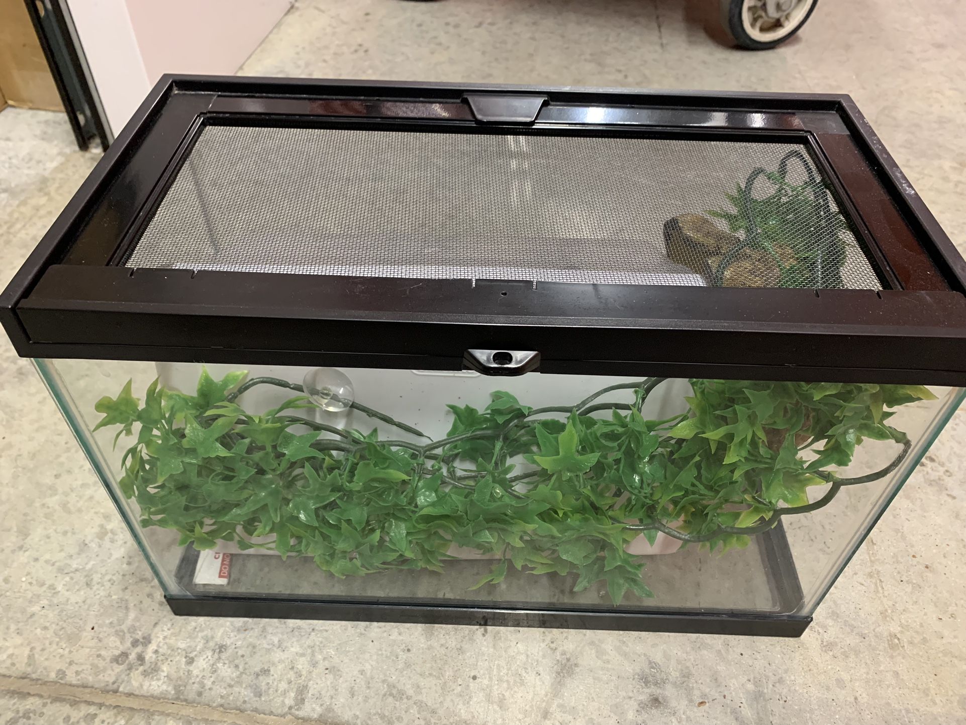 Zoomed Terrarium Tank 18 X 18 X 18 Reptile Snake Frog Enclosure for ...