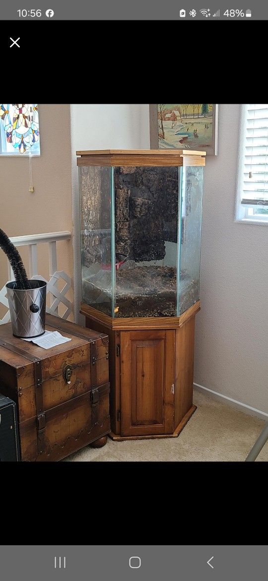 Reptile Enclosure/Fish Tank for Sale in Las Vegas, NV - OfferUp