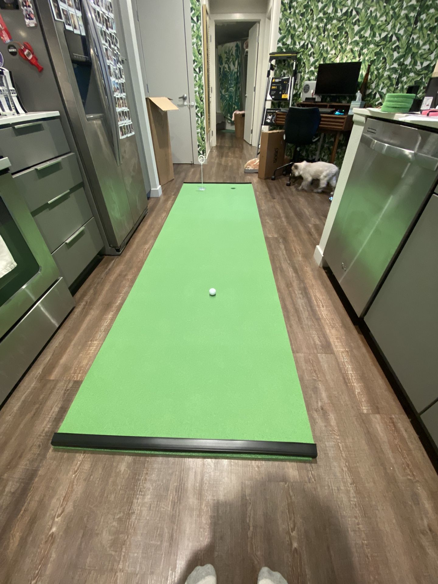 Birdie Ball Double depth 3’ x 10’ Putting Mat for Sale in Anaheim, CA ...