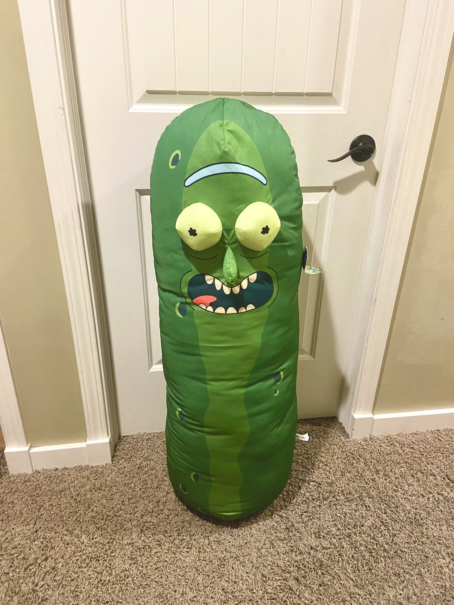 Pickle Rick (Large) for Sale in Snohomish, WA - OfferUp
