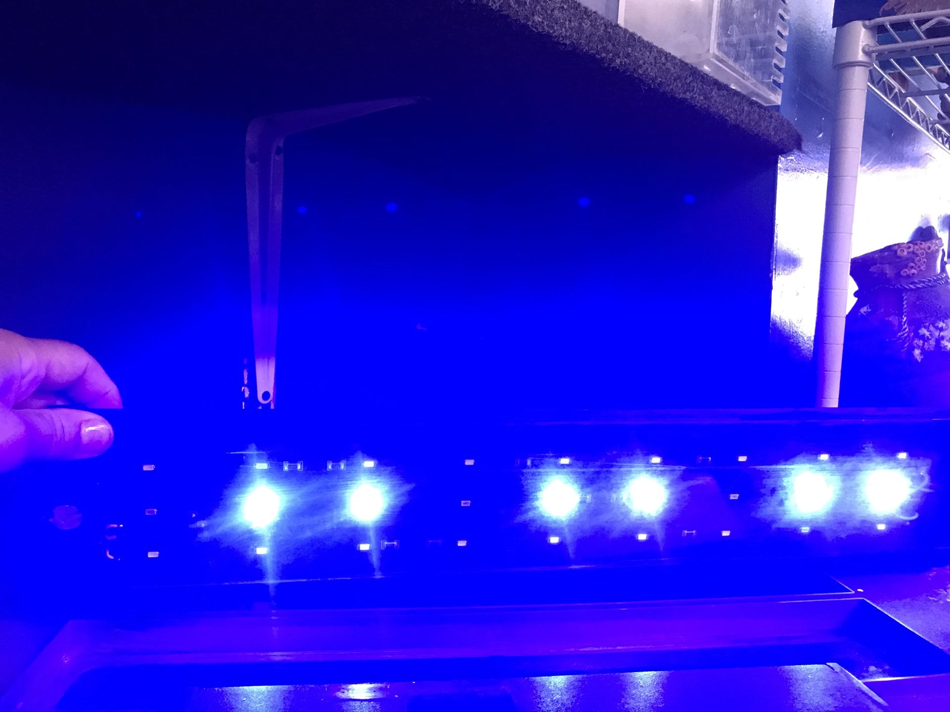 44 gallon corner Pentagon Aquarium fish tank complete $300 for Sale in ...