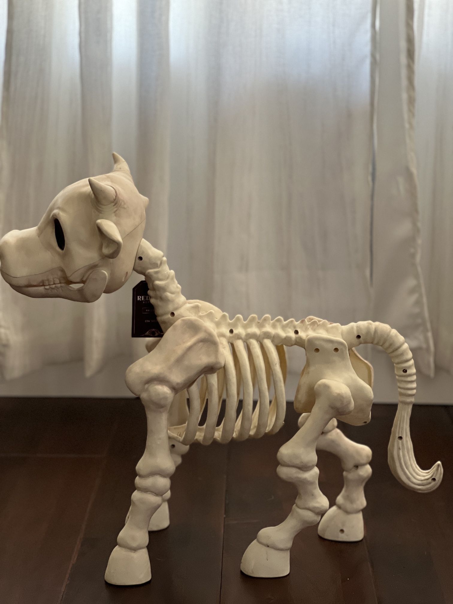 Red shed Cow Skeleton for Sale in Corona, CA - OfferUp