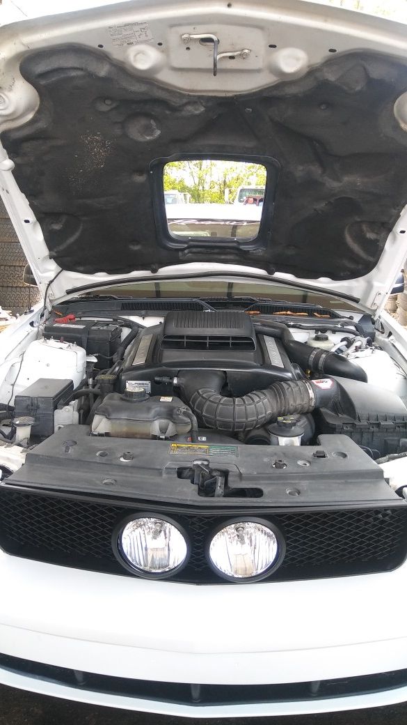 2007 FORD MUSTANG GTR REGENCY SPECIAL EDITION WITH SHAKER for Sale in ...