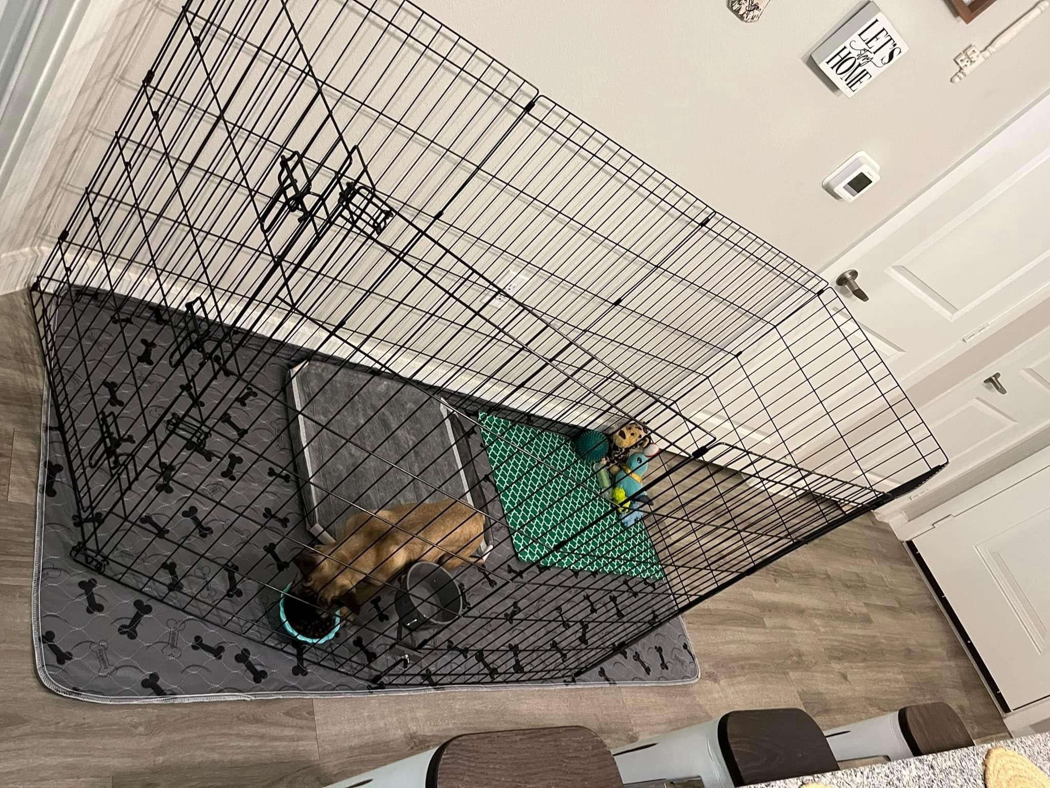 Dog Playpen for Sale in Katy, TX - OfferUp